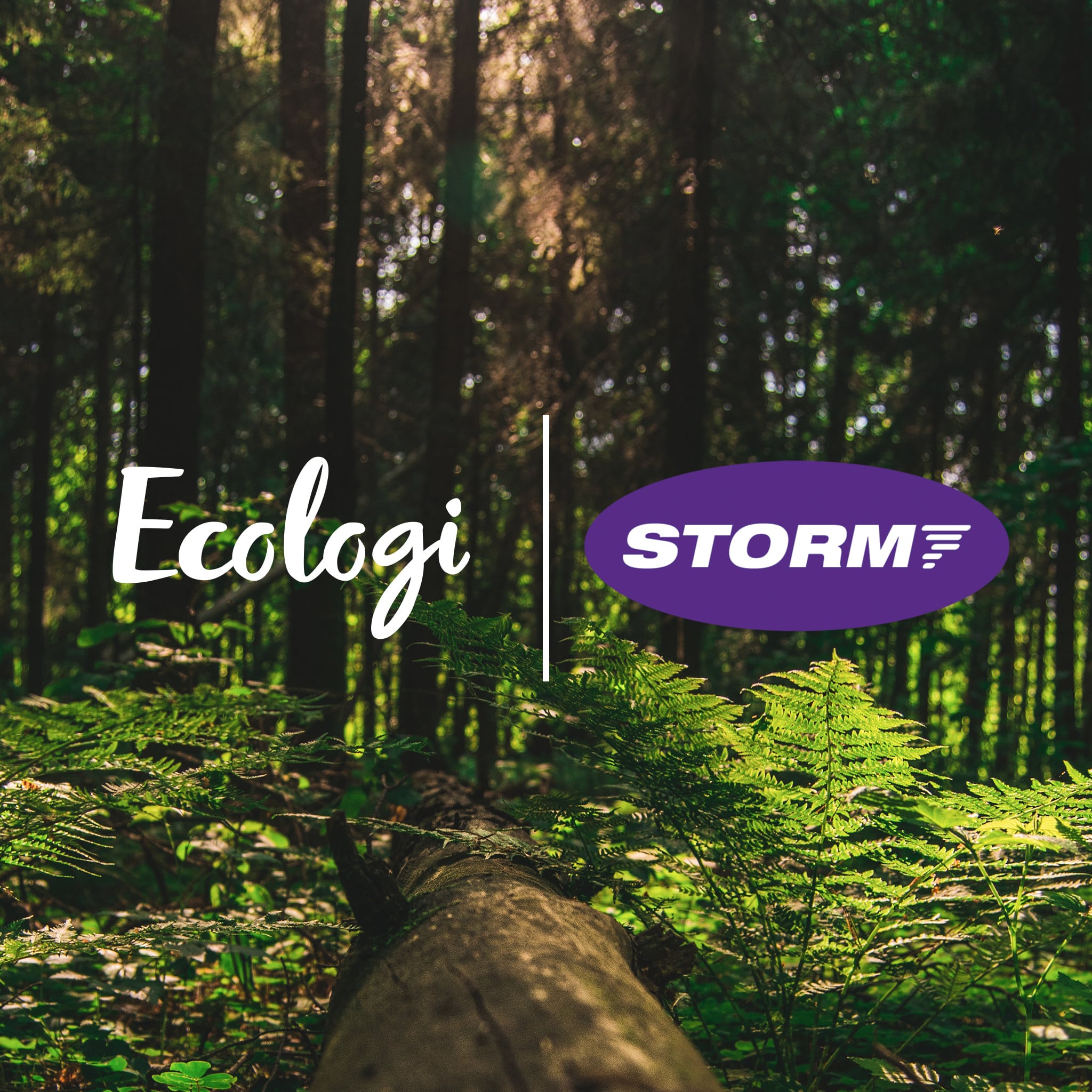 Ecologi x Storm | Storm